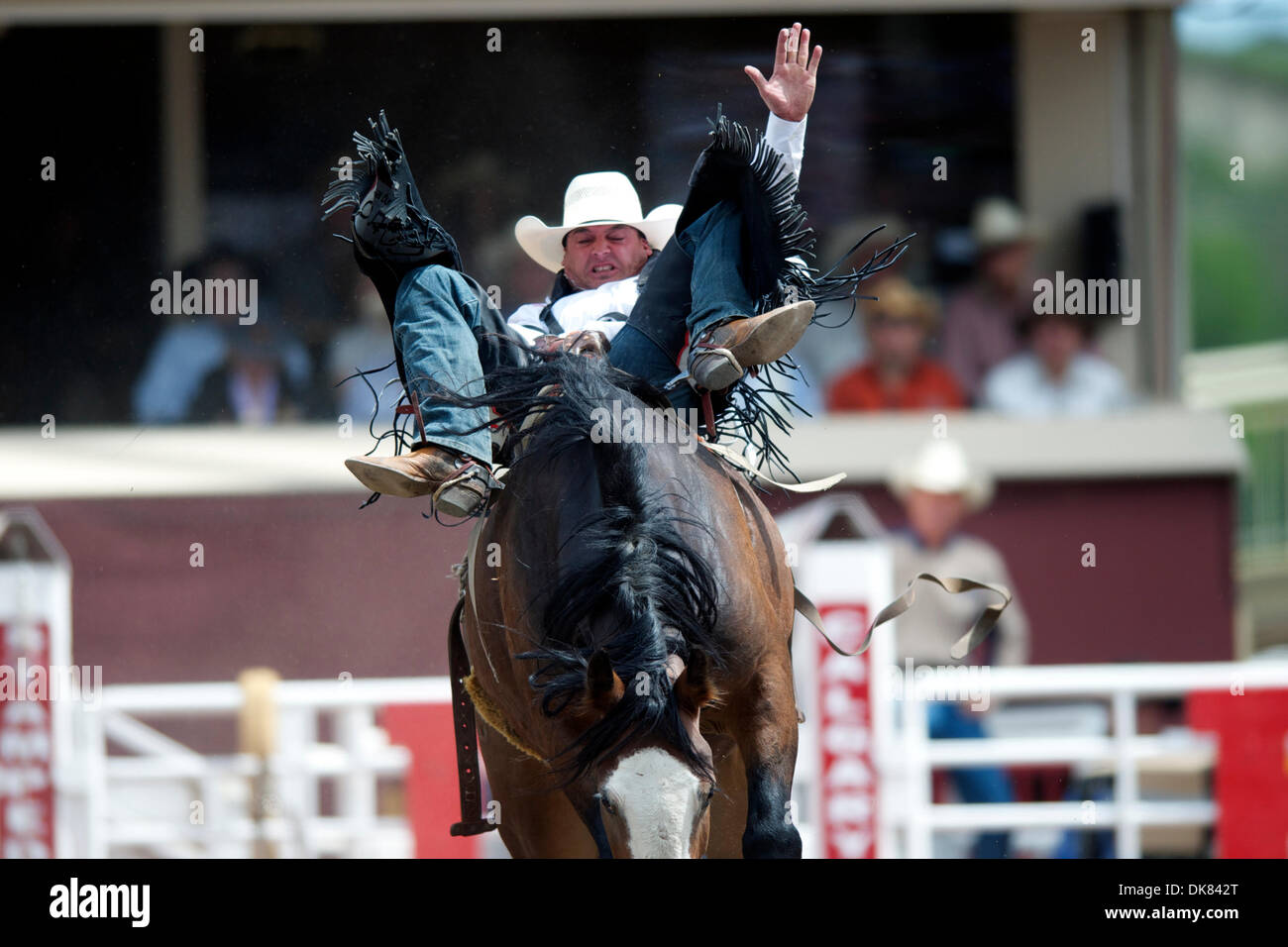 Davey jr hi-res stock photography and images - Alamy