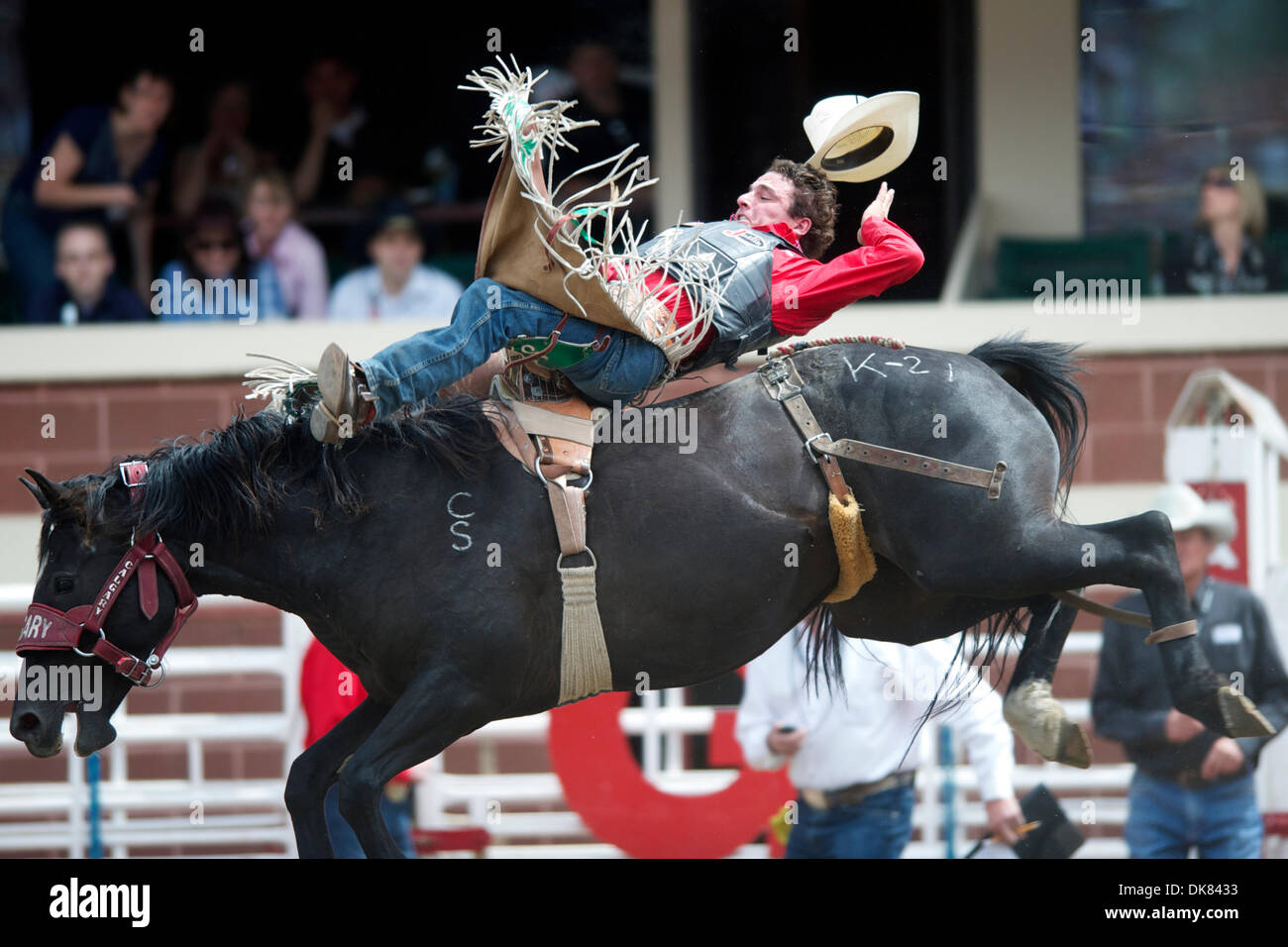 July 9, 2011 - Calgary, Alberta, Canada - Bareback rider Ryan Gray of ...