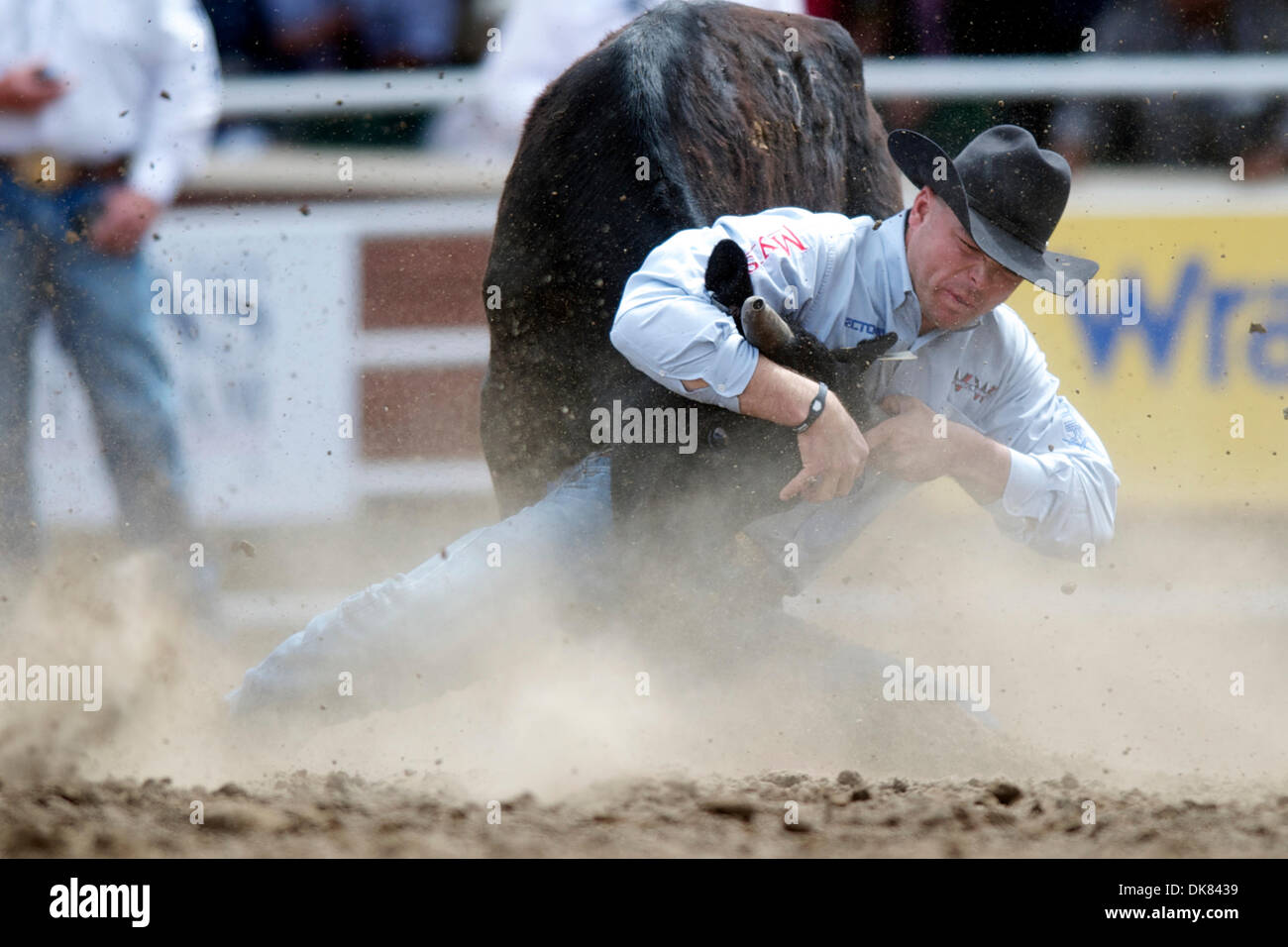 July 9, 2011 - Calgary, Alberta, Canada - Steer wrestler Matt Reeves of ...