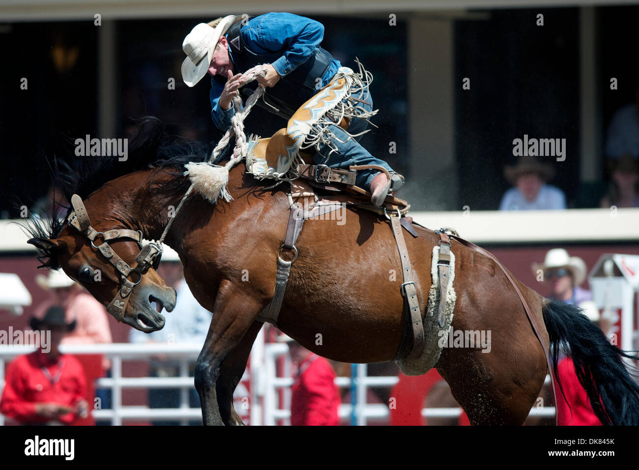 July 9, 2011 - Calgary, Alberta, Canada - Saddle bronc rider Jeffery ...