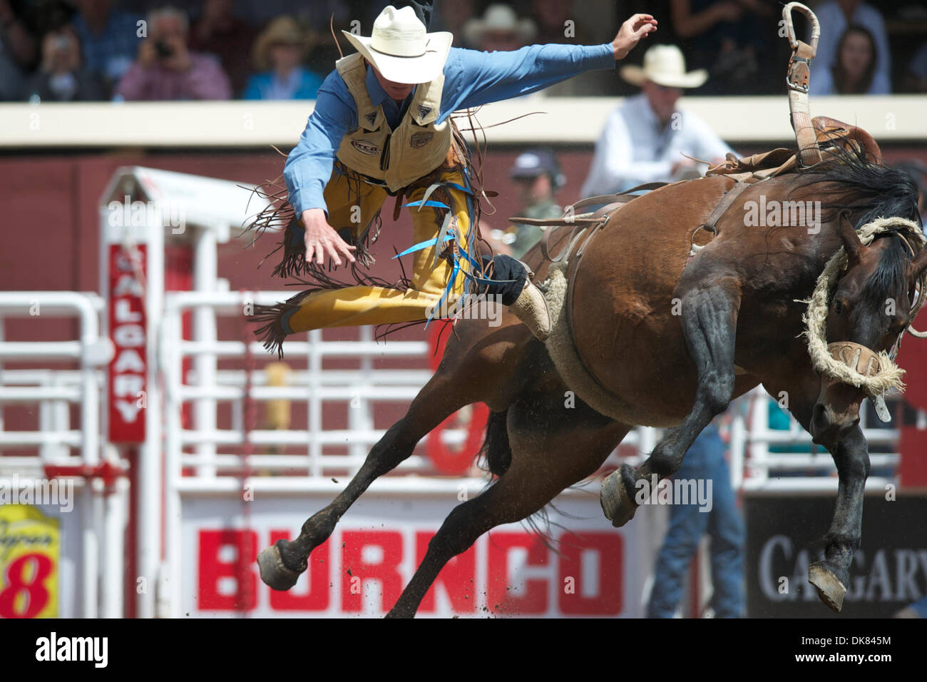 July 9, 2011 - Calgary, Alberta, Canada - Saddle Bronc rider Cody Taton ...