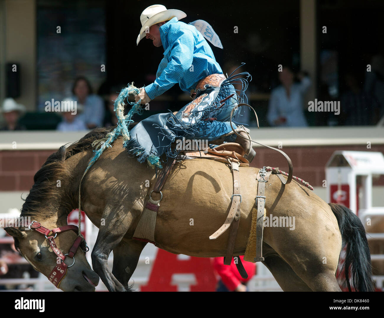 July 9, 2011 - Calgary, Alberta, Canada - Saddle bronc rider Tyler ...
