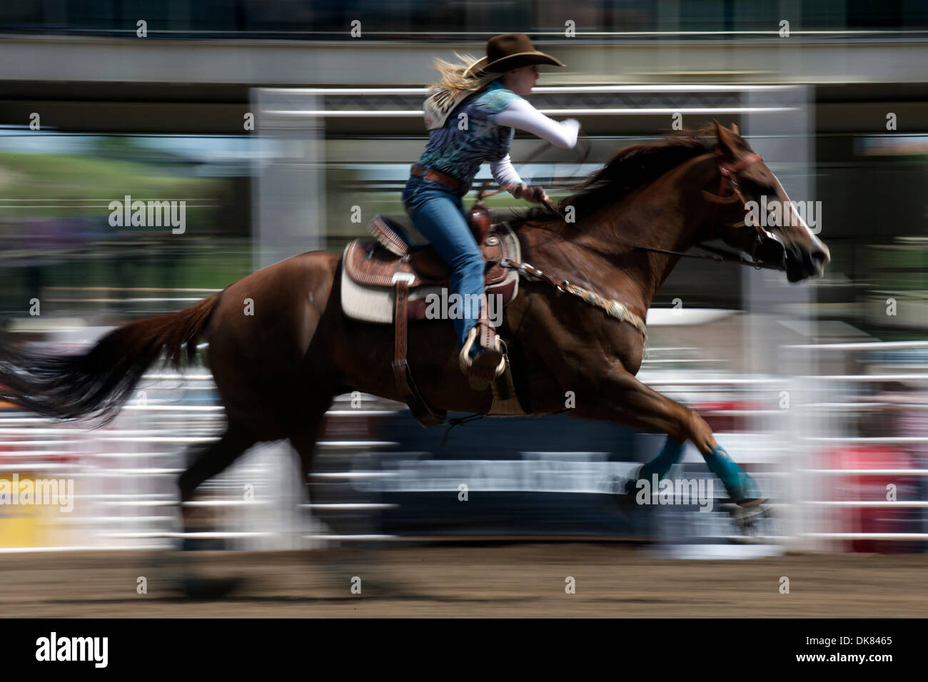 July 9, 2011 - Calgary, Alberta, Canada - Barrel racer Lauren Byrne of ...
