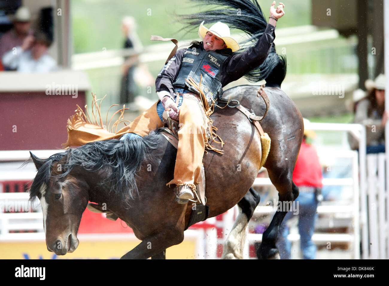 July 9, 2011 - Calgary, Alberta, Canada - Bareback rider Steven Dent of ...