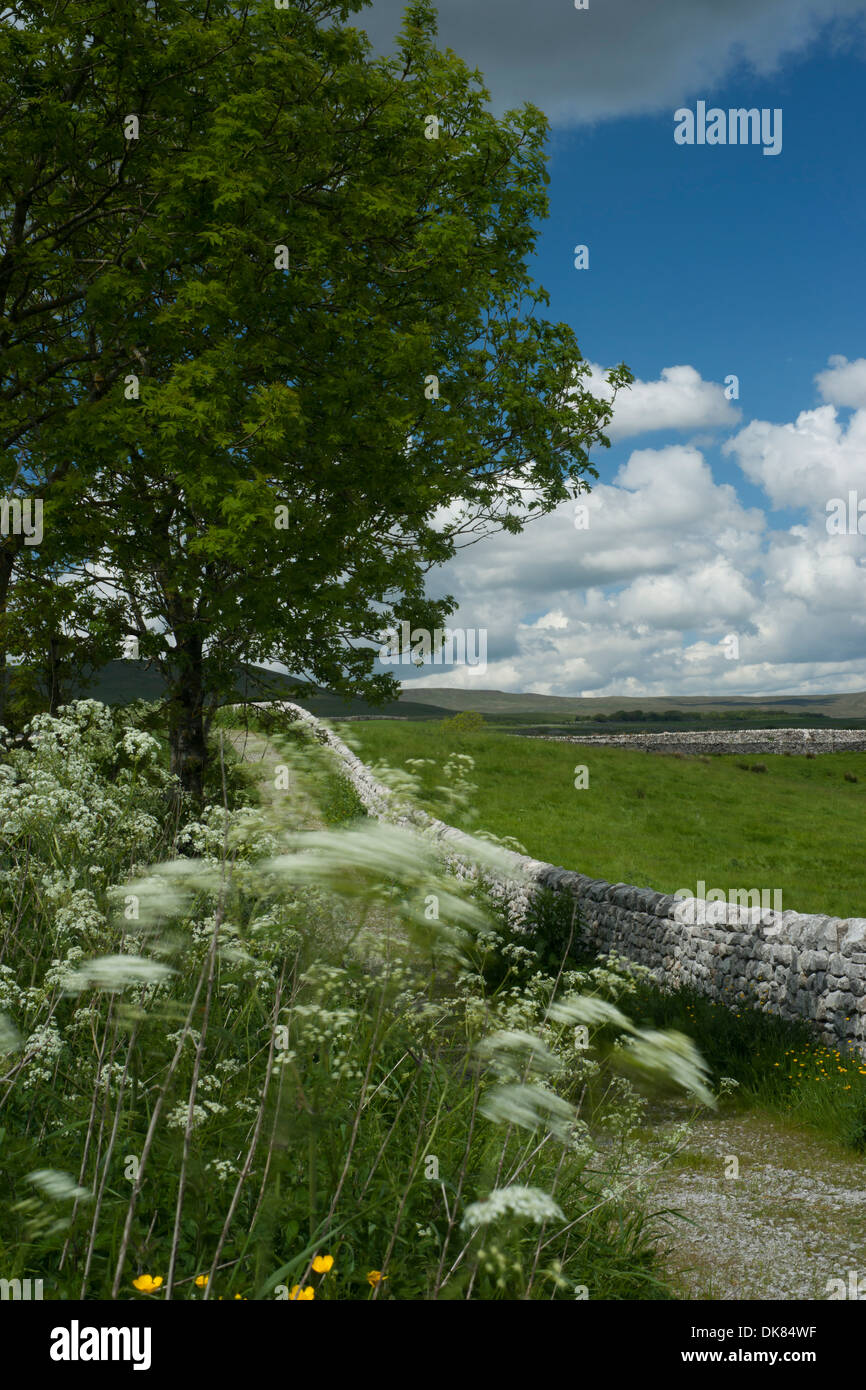 Sunny lane hi-res stock photography and images - Alamy