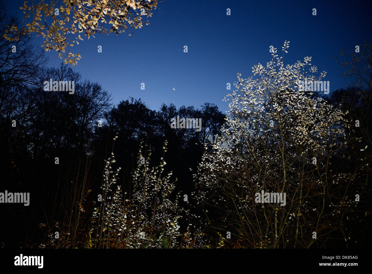 Dawny hi-res stock photography and images - Alamy