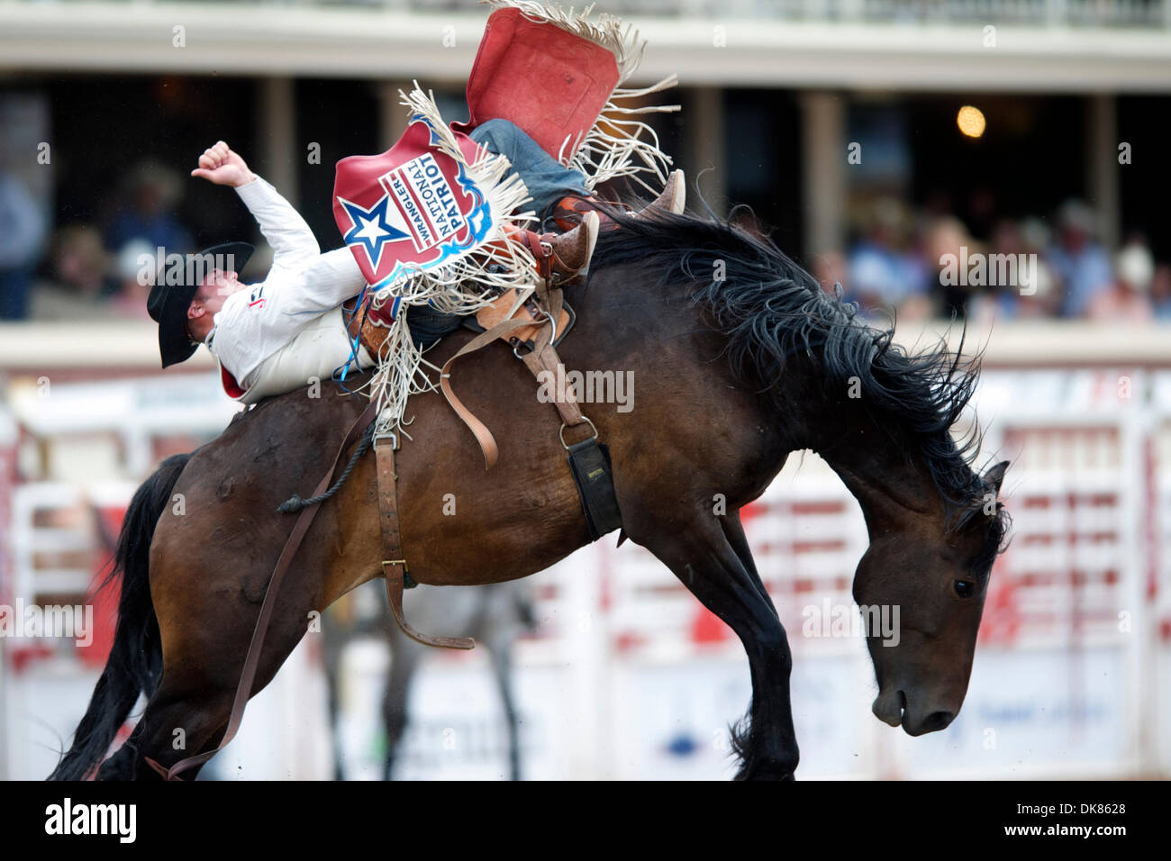 July 10, 2011 - Calgary, Alberta, Canada - Bareback rider Kaycee Feild ...