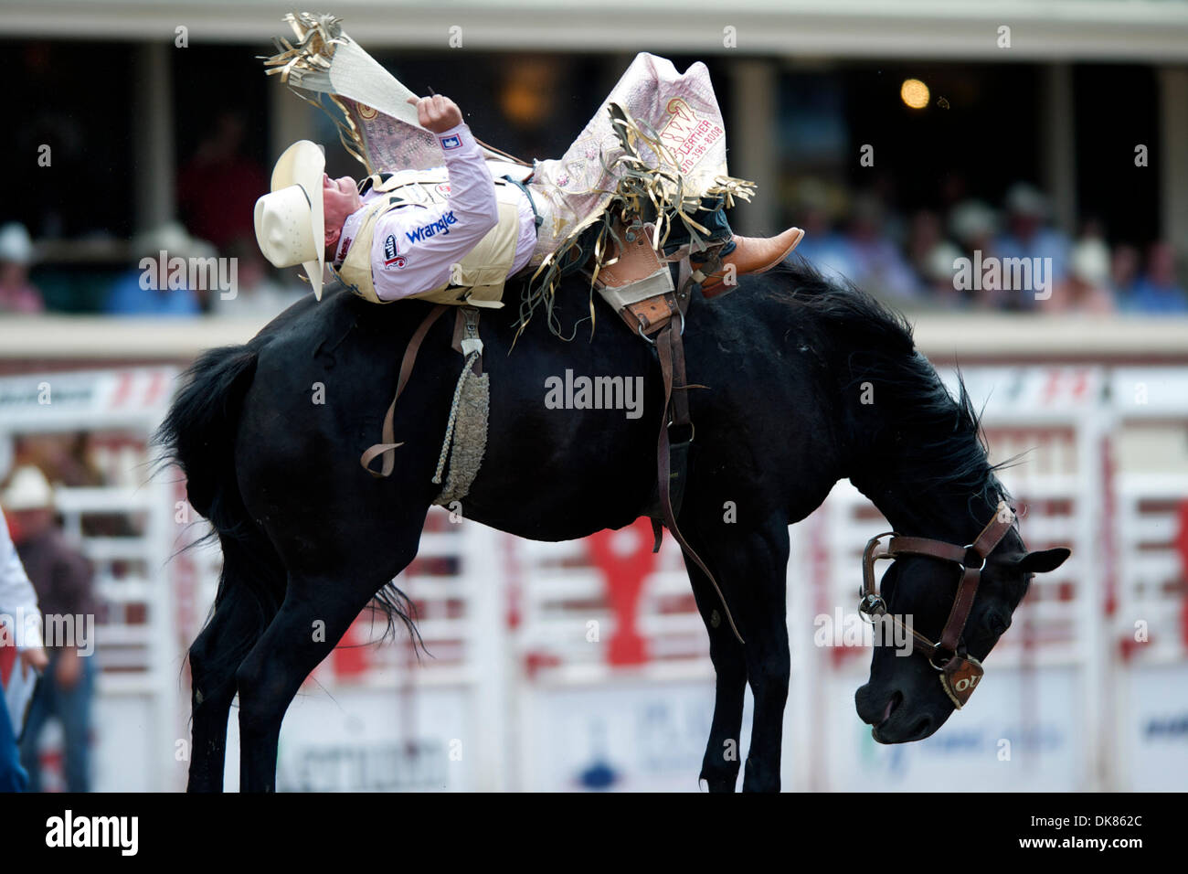 July 10, 2011 - Calgary, Alberta, Canada - Bareback rider Kelly ...