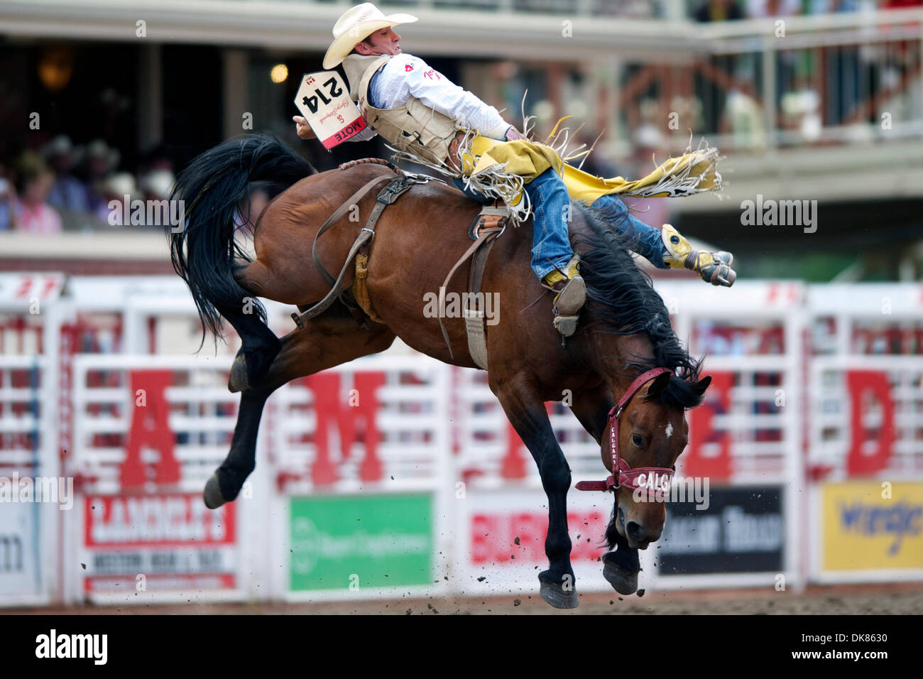 Bobby mote hi-res stock photography and images - Alamy