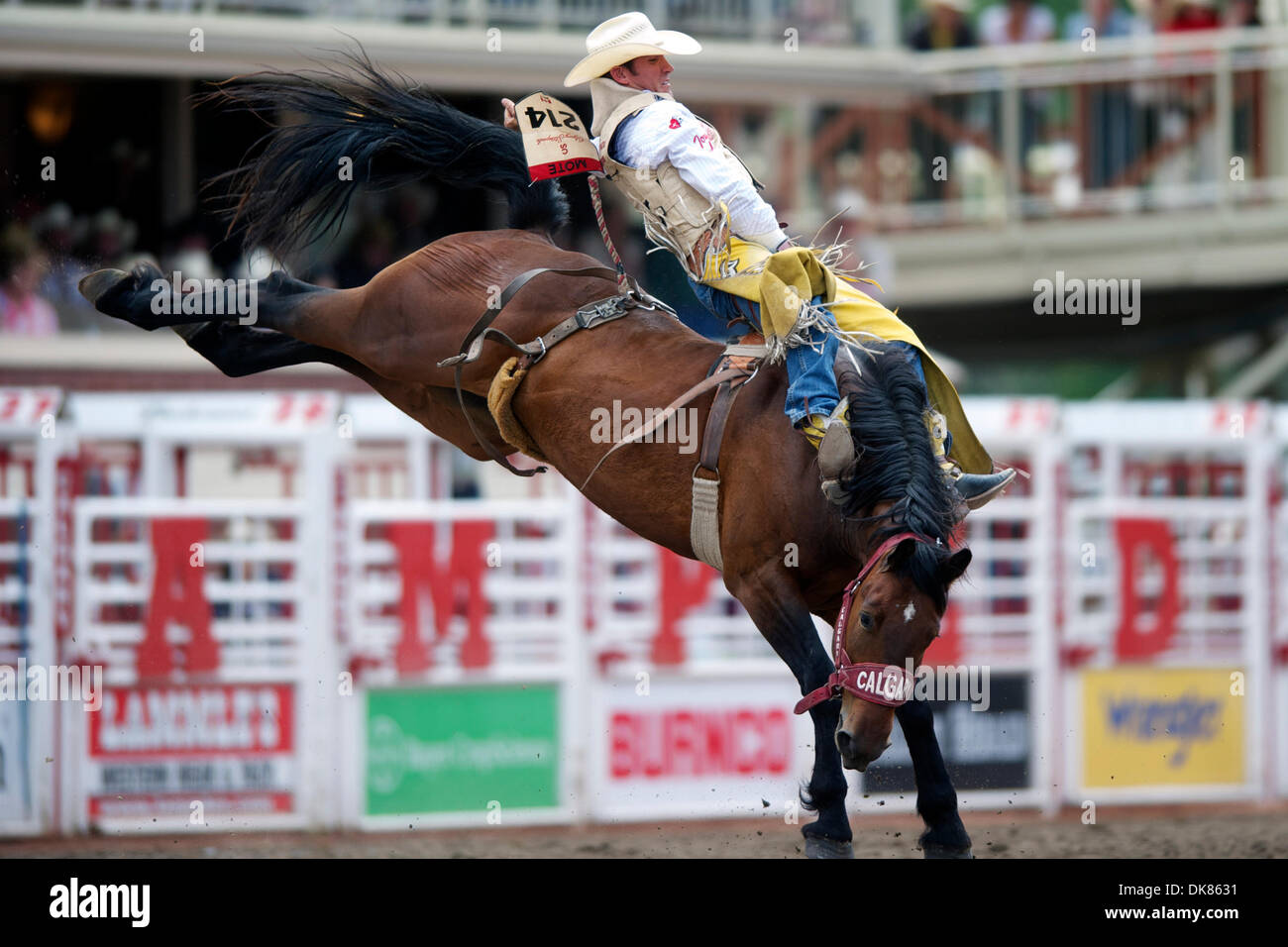 July 10, 2011 - Calgary, Alberta, Canada - Bareback rider Bobby Mote of ...