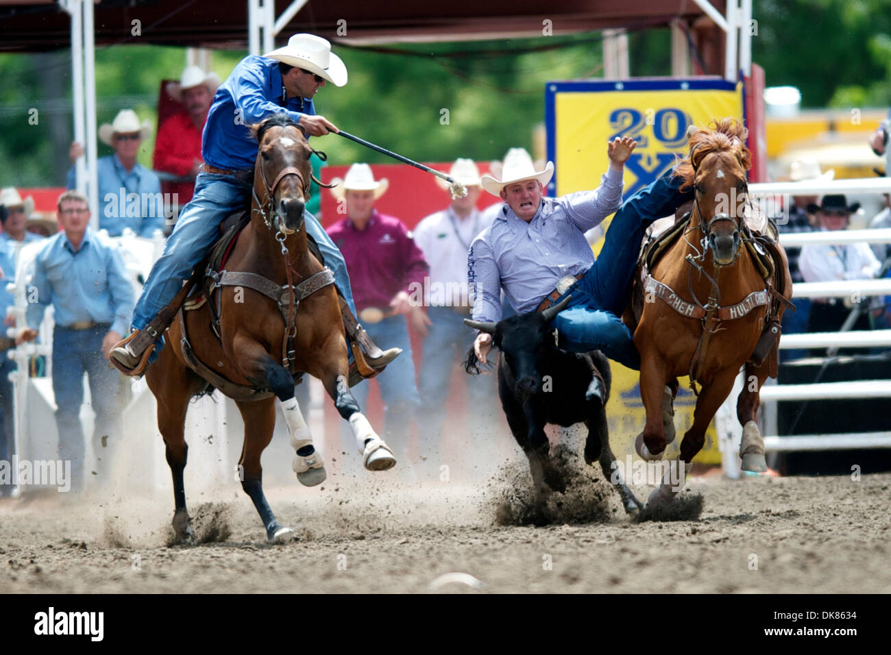 July 10, 2011 - Calgary, Alberta, Canada - Steer wrestler Wade Sumpter ...