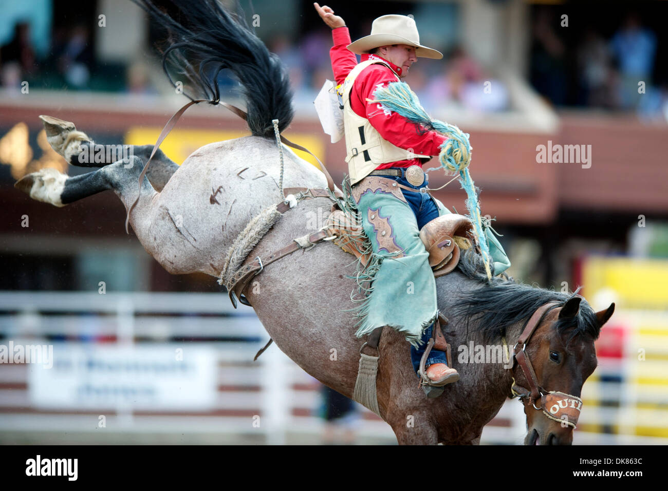 July 10, 2011 - Calgary, Alberta, Canada - Saddle bronc rider Dustin ...