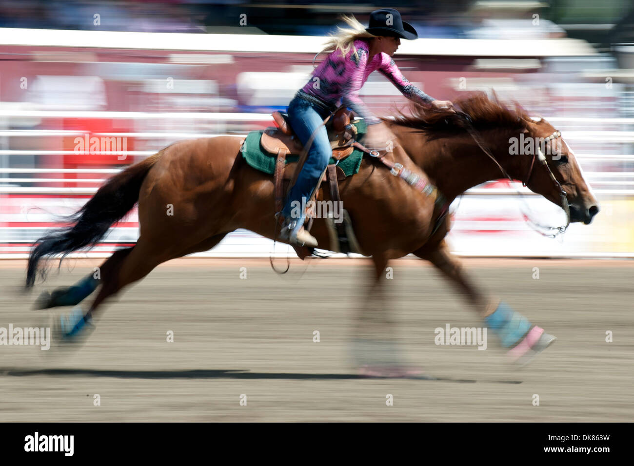 July 10, 2011 - Calgary, Alberta, Canada - Barrel racer Angie Meadors ...