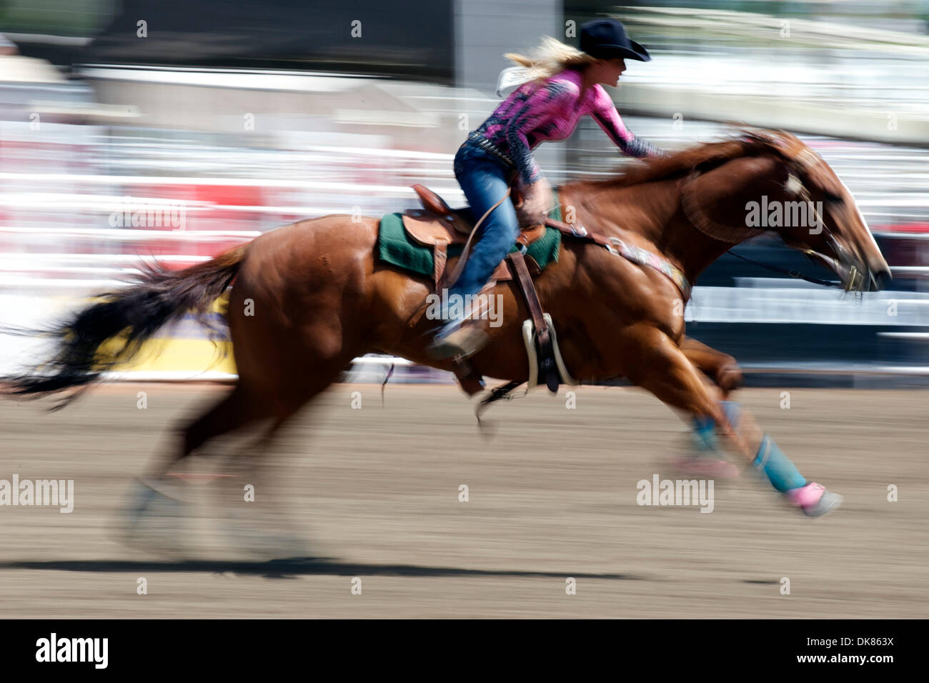 July 10, 2011 - Calgary, Alberta, Canada - Barrel racer Angie Meadors ...