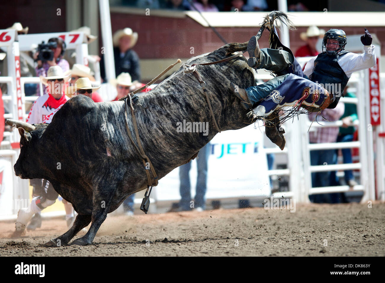 July 10 2011 Calgary Alberta Canada Bull Rider Cody Whitney Of Asher Ok Gets Bucked Off