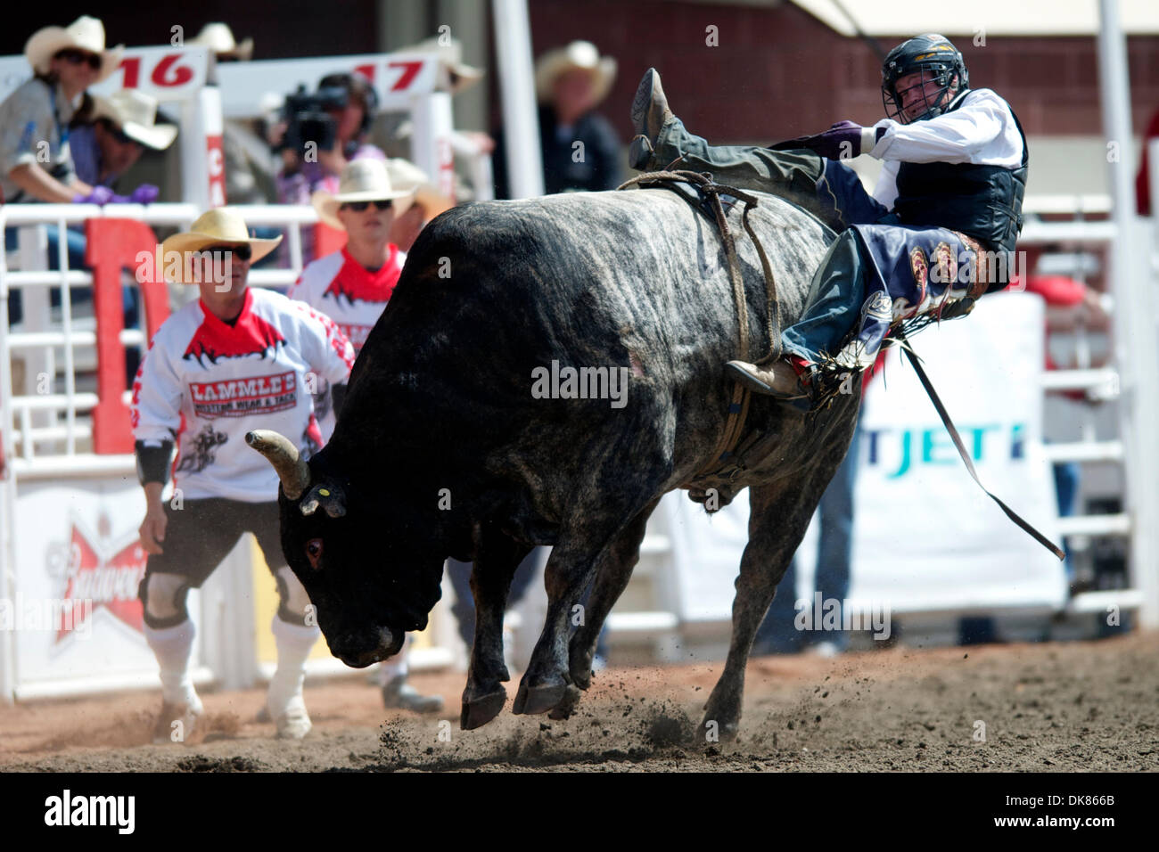 Bull rider at calgary stampede hi-res stock photography and images - Alamy