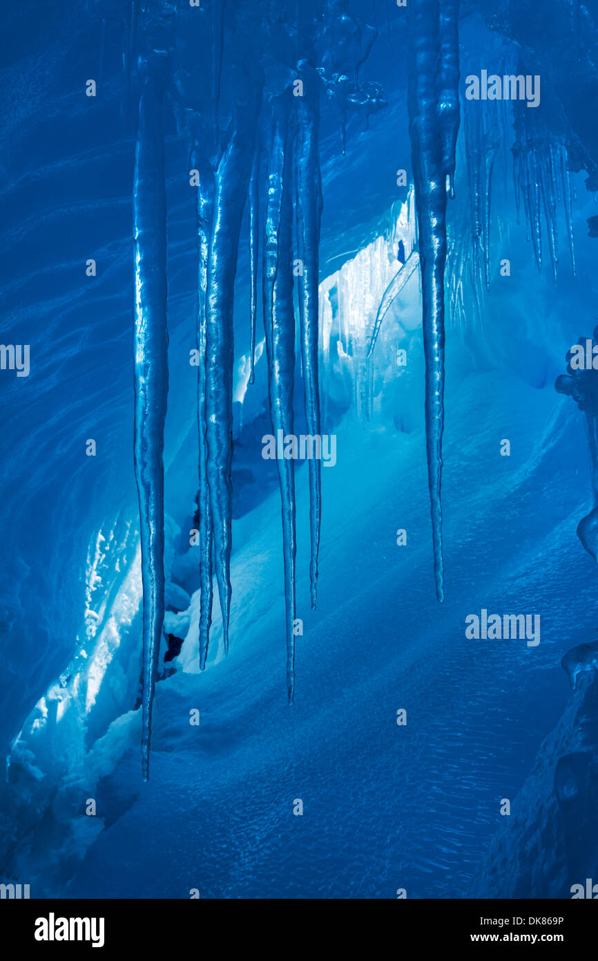 Antarctica, Icicles hanging from roof of glacial ice cave by Gerlache ...