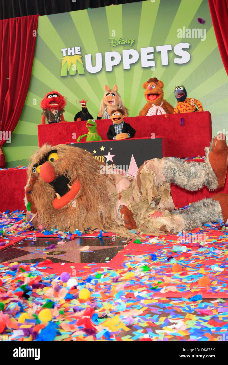 The Muppets Muppets are honored with a Star on Hollywood Walk of Fame ...