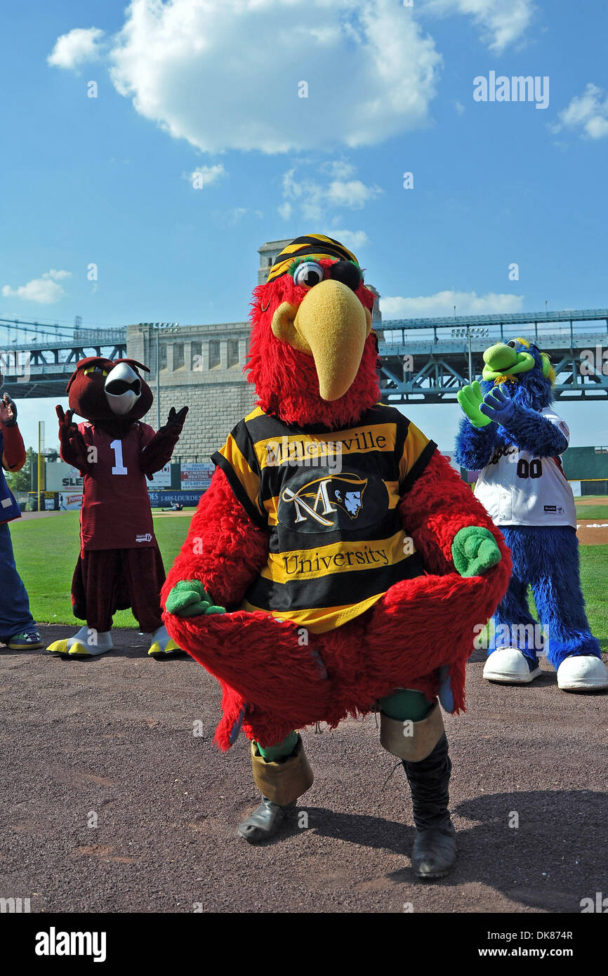 Mascots Riversharks