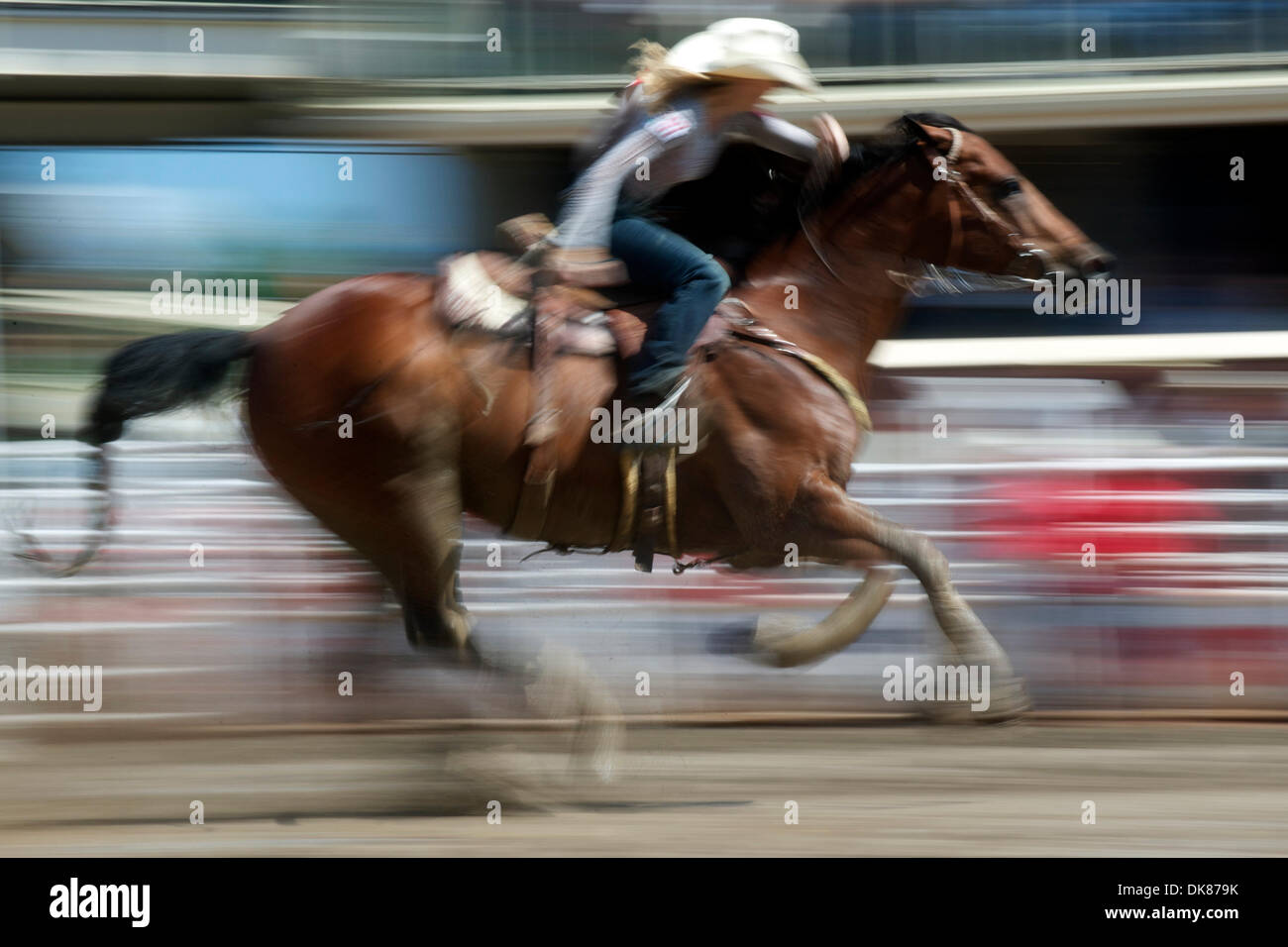 July 11, 2011 - Calgary, Alberta, Canada - Barrel racer Lindsay Sears ...