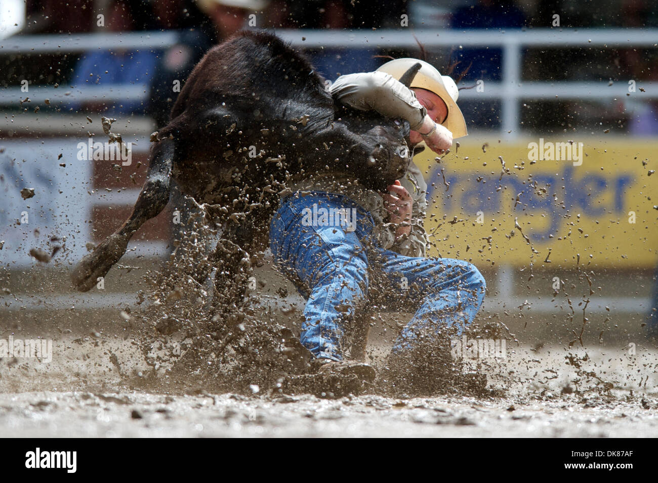 July 11, 2011 - Calgary, Alberta, Canada - Steer wrestler Lee Graves of ...