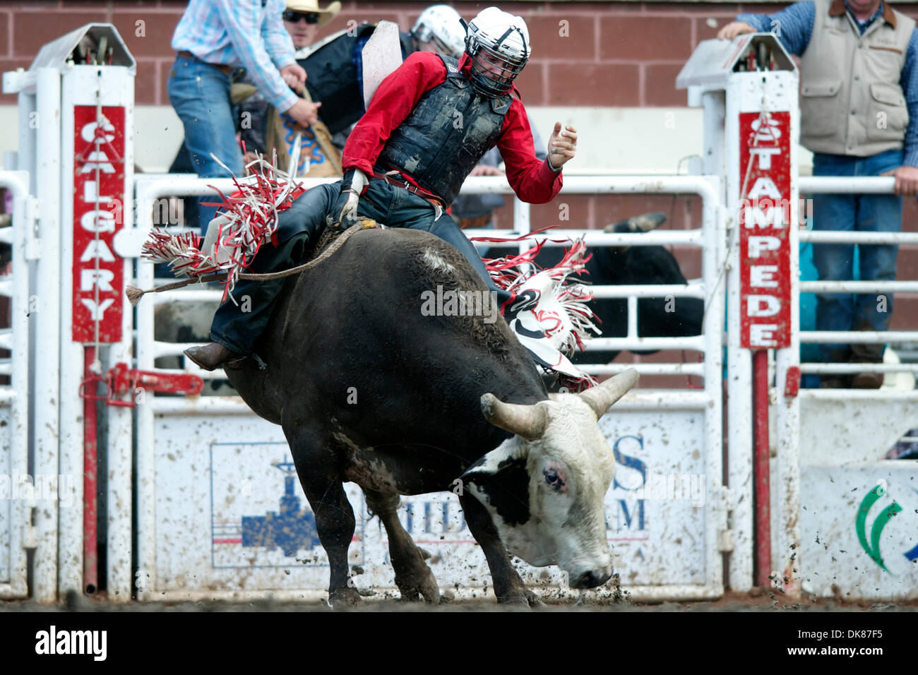 Cowboy bucked off bull hi-res stock photography and images - Alamy