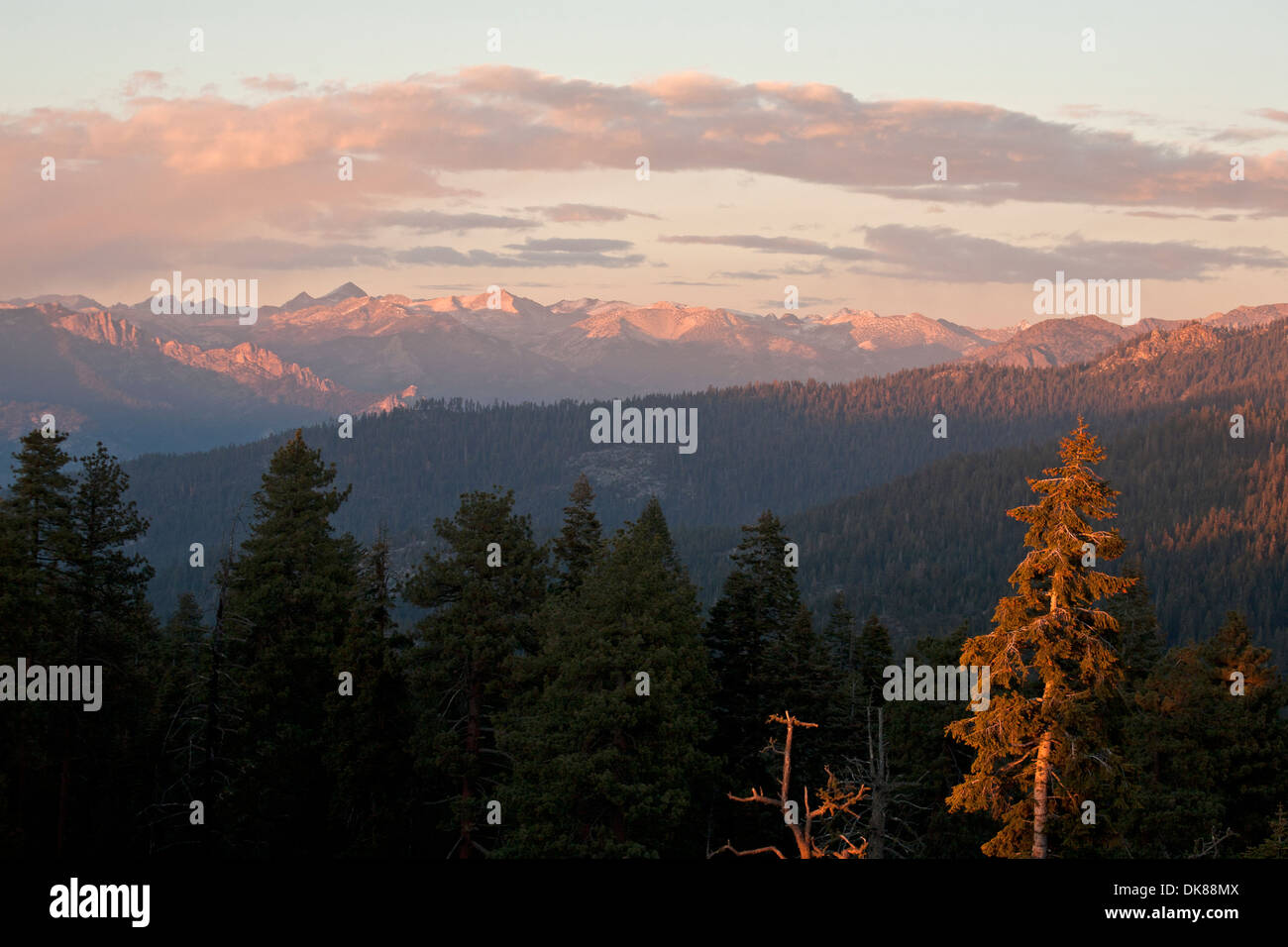 View across Sequoia National Park at sunset Stock Photo - Alamy