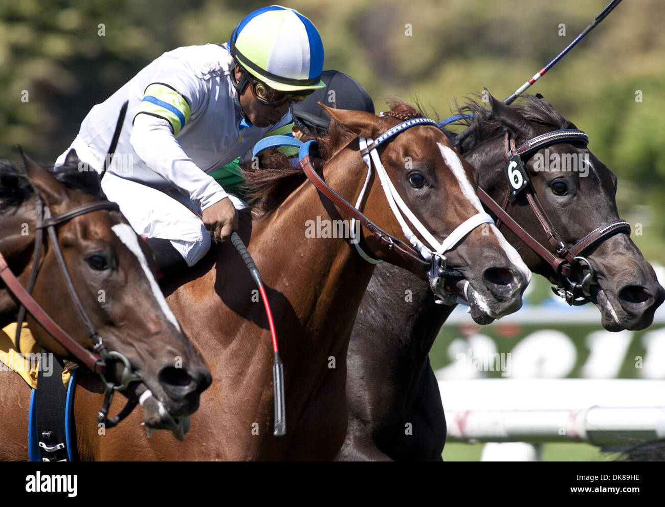 July 16, 2011 - Inglewood, California, U.S. - Cambina and Martin Garcia ...