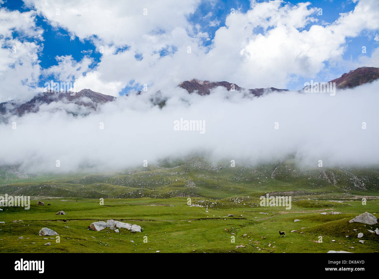 Low clouds in mountains Stock Photo - Alamy