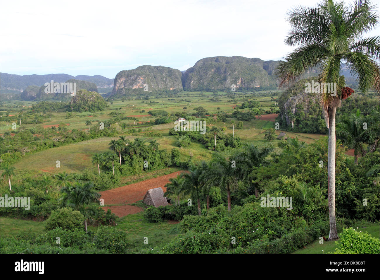View from Hotel Los Jazmines, Viñales valley, Pinar del Rio province ...
