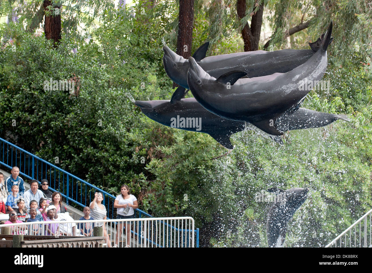 Crowd 001 jpg hi-res stock photography and images - Alamy