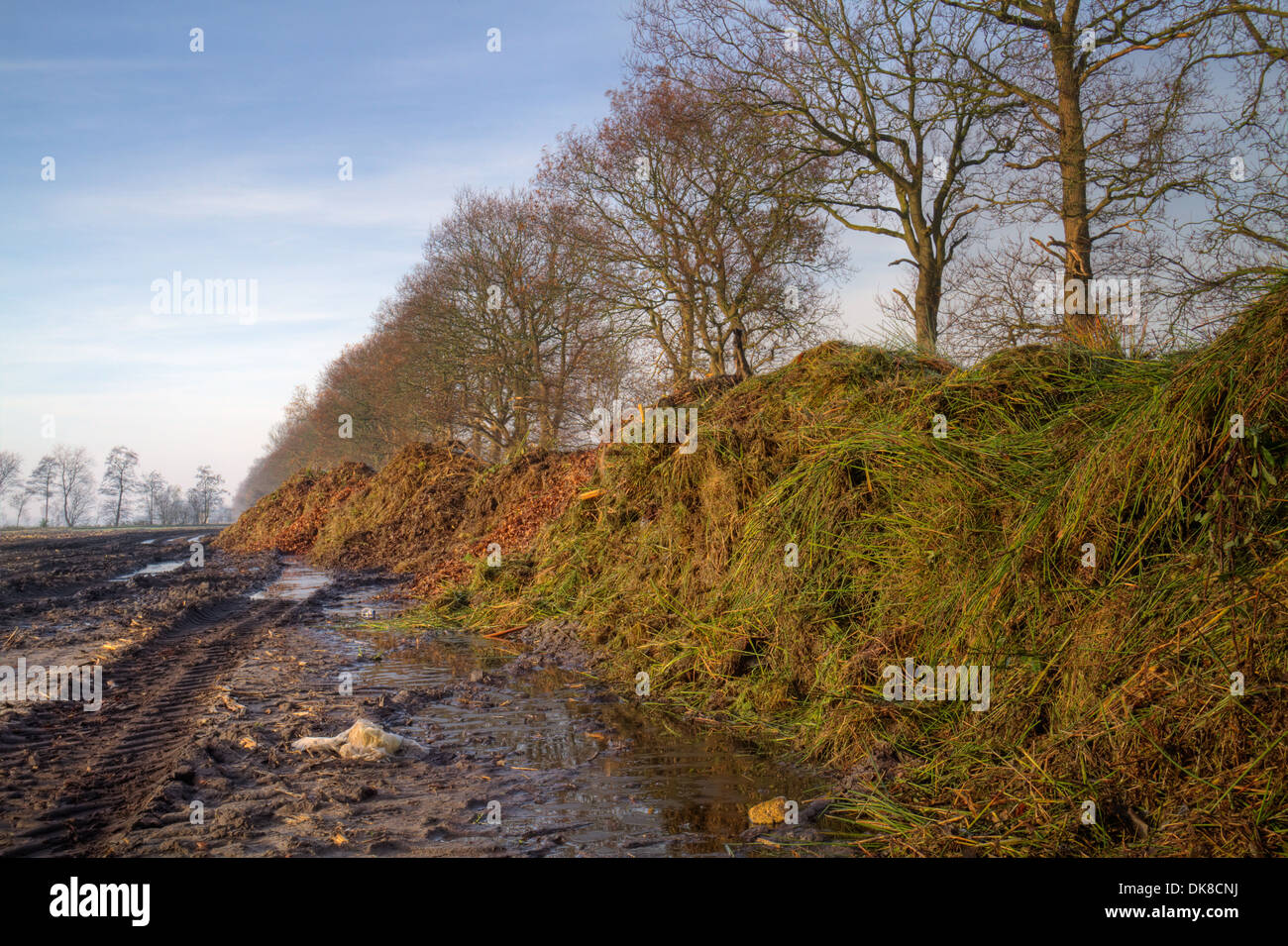 Muddy field hi-res stock photography and images - Alamy