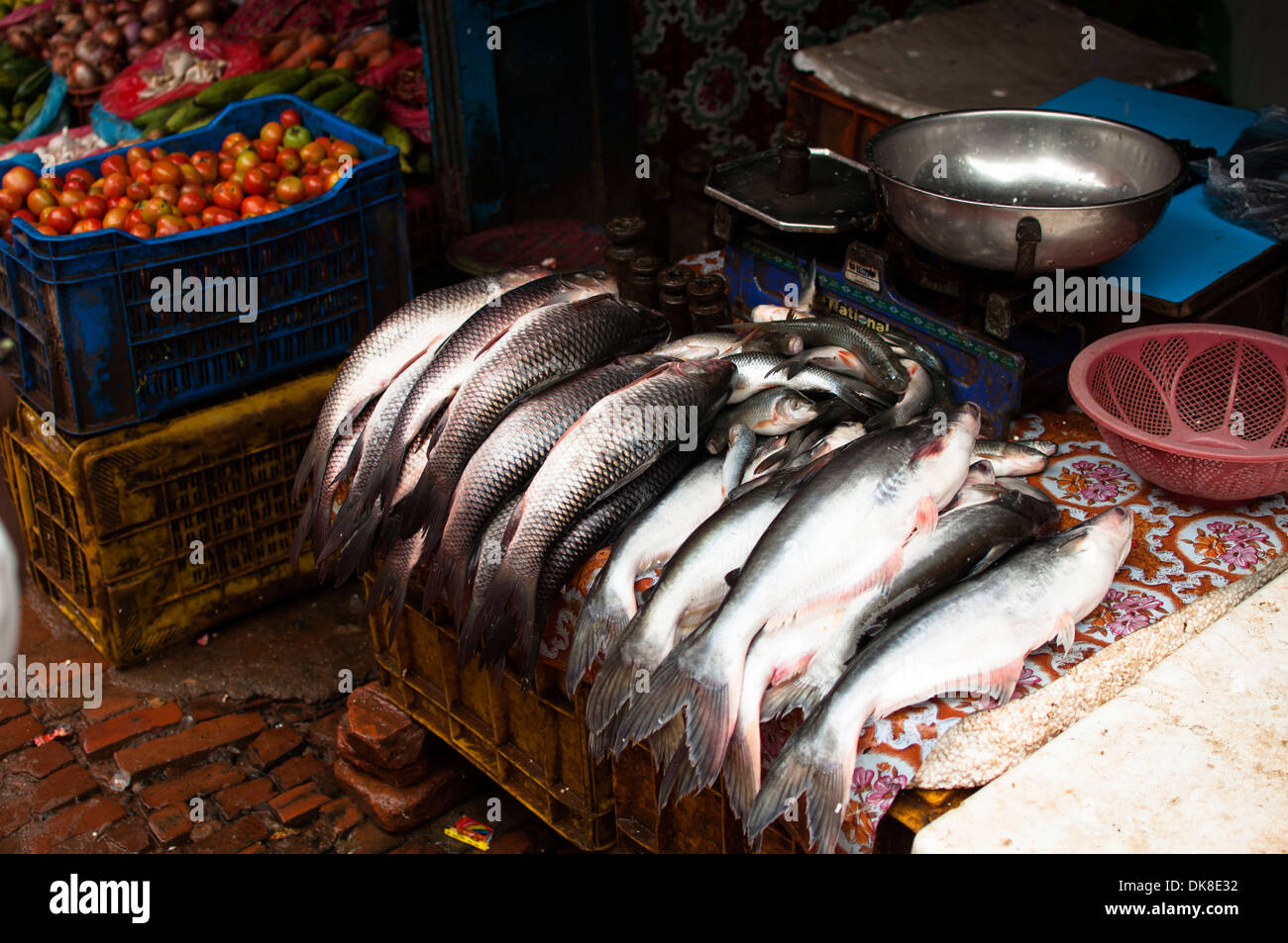 Fish for sale in Bhaktapur, Kathmandu, Nepal Stock Photo - Alamy