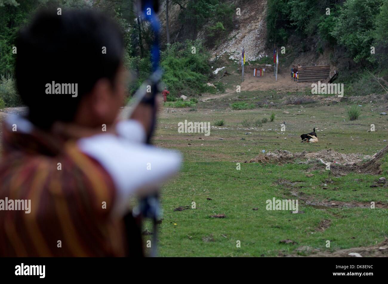May 8, 2011 - Thimphu, KINGDOM OF BHUTAN - Dogs play in the middle of ...
