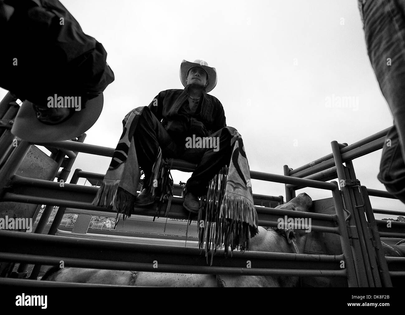 Shane proctor hi-res stock photography and images - Alamy