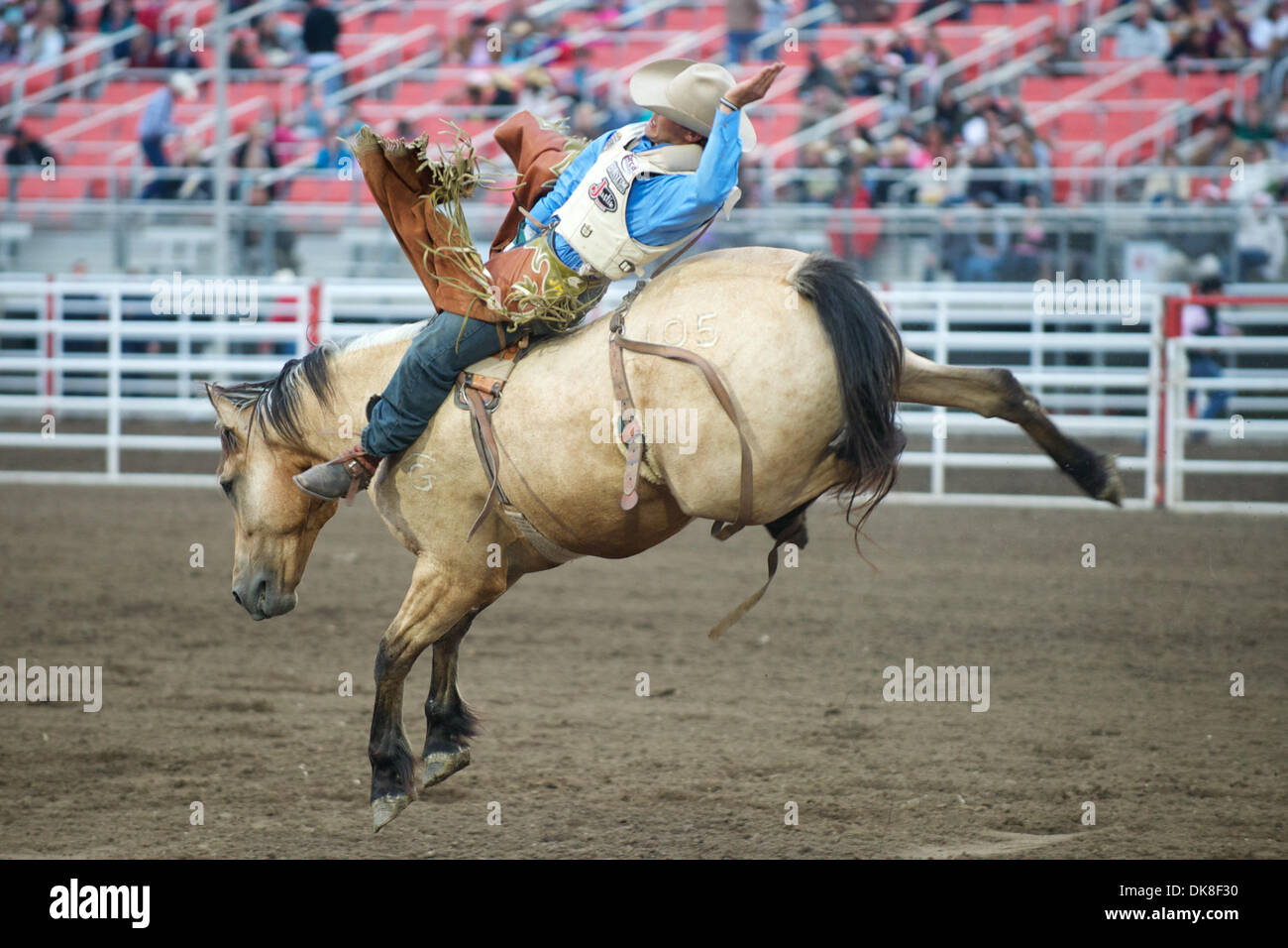 July 21, 2011 - Salinas, California, U.S - Bareback rider Jason Havens ...