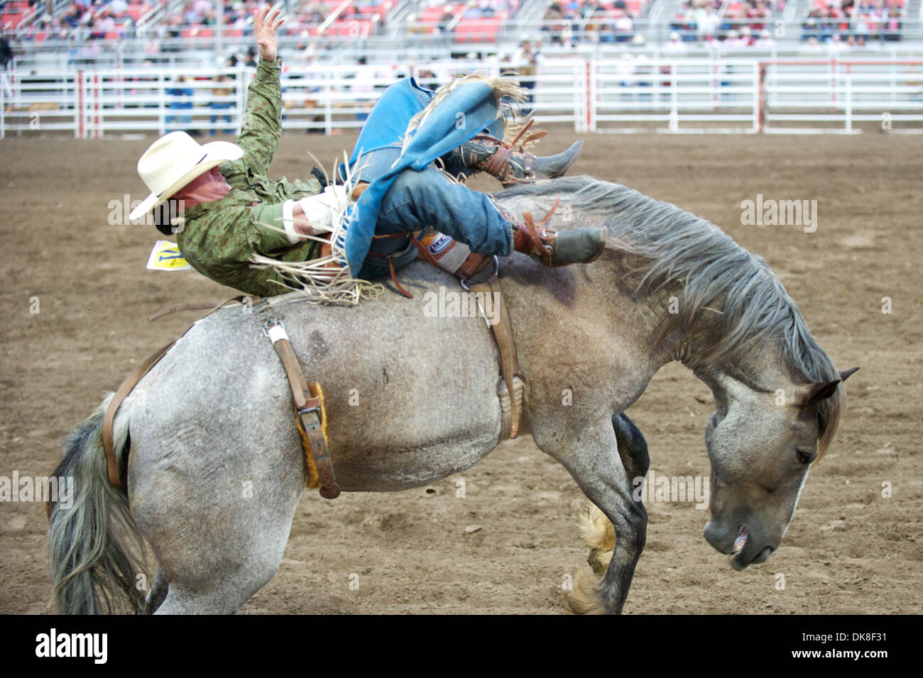 July 21, 2011 - Salinas, California, U.S - Bareback rider Caine Riddle ...