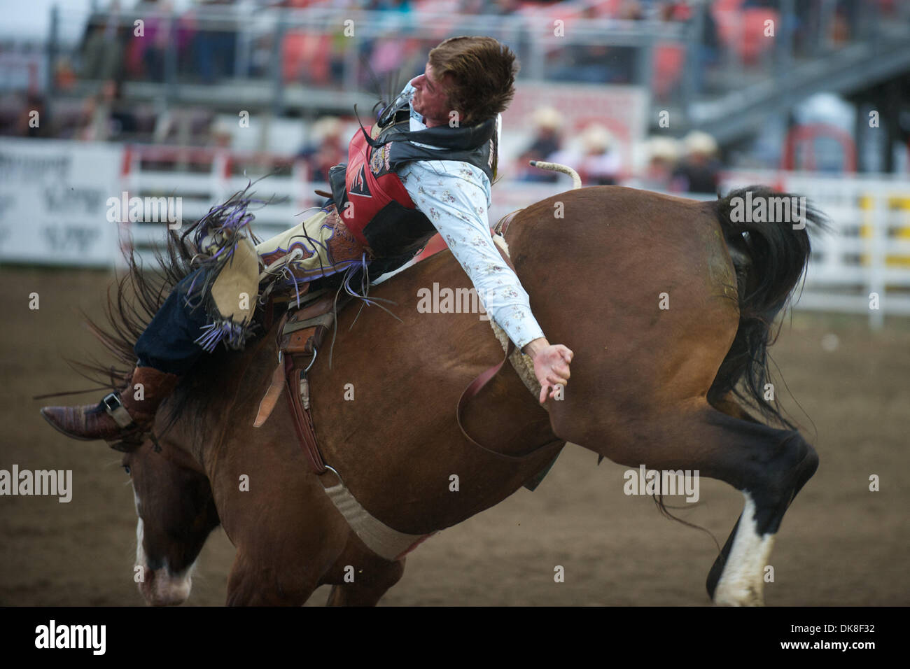 July 21, 2011 - Salinas, California, U.S - Bareback rider Tom McFarland ...