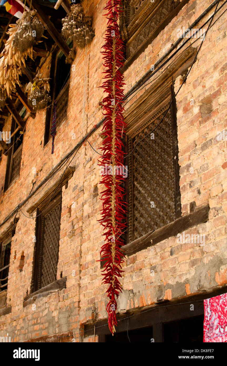 Hanging chilis hi-res stock photography and images - Alamy
