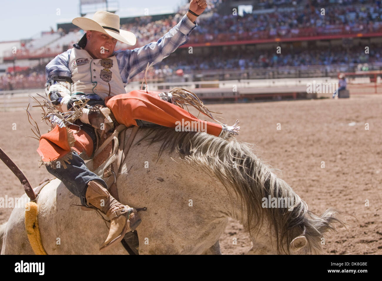 July 23, 2011 - Cheyenne, Wyoming, U.S. - Rodeo - STEVE WOOLEY performs ...