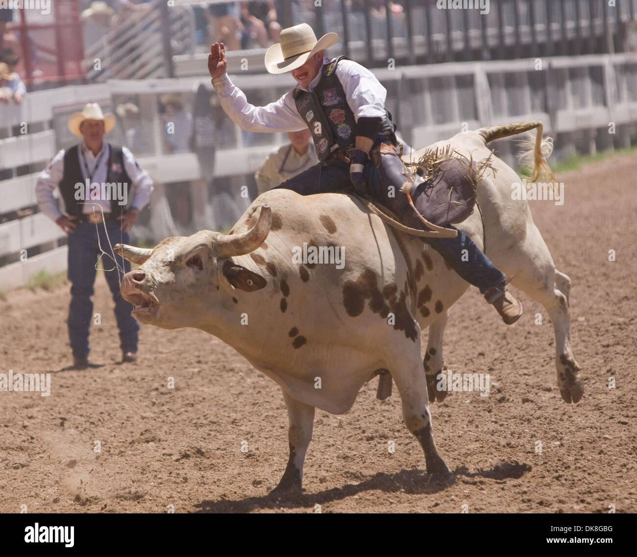 July 23, 2011 - Cheyenne, Wyoming, U.S. - Rodeo - WESLEY SILCOX ...