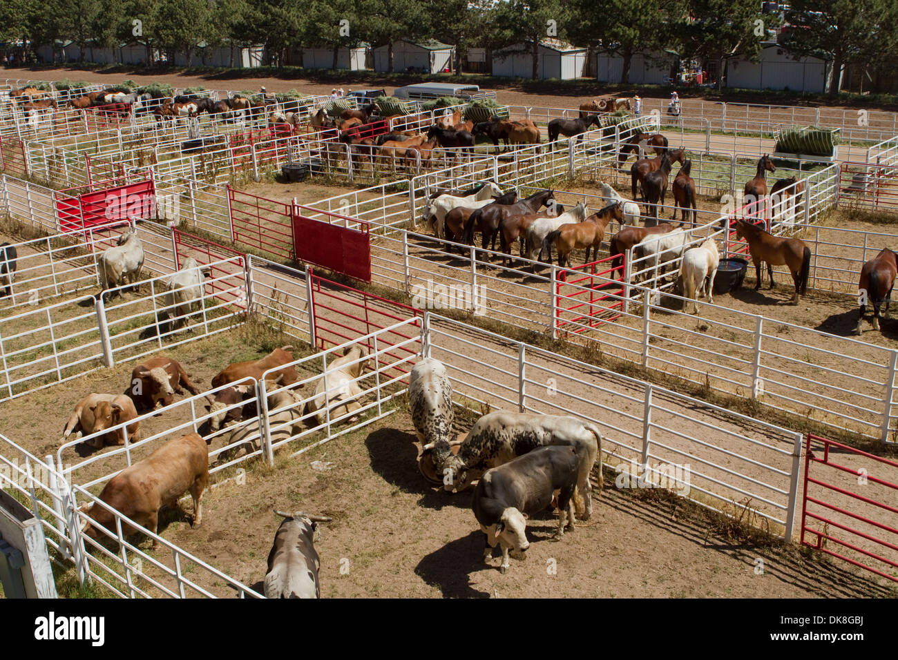 Cheyenne frontier days prca rodeo hi-res stock photography and images ...