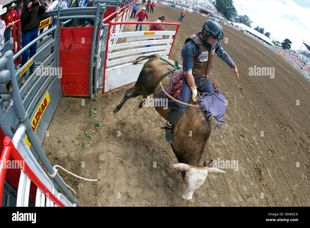 California rodeo salinas hi-res stock photography and images - Alamy