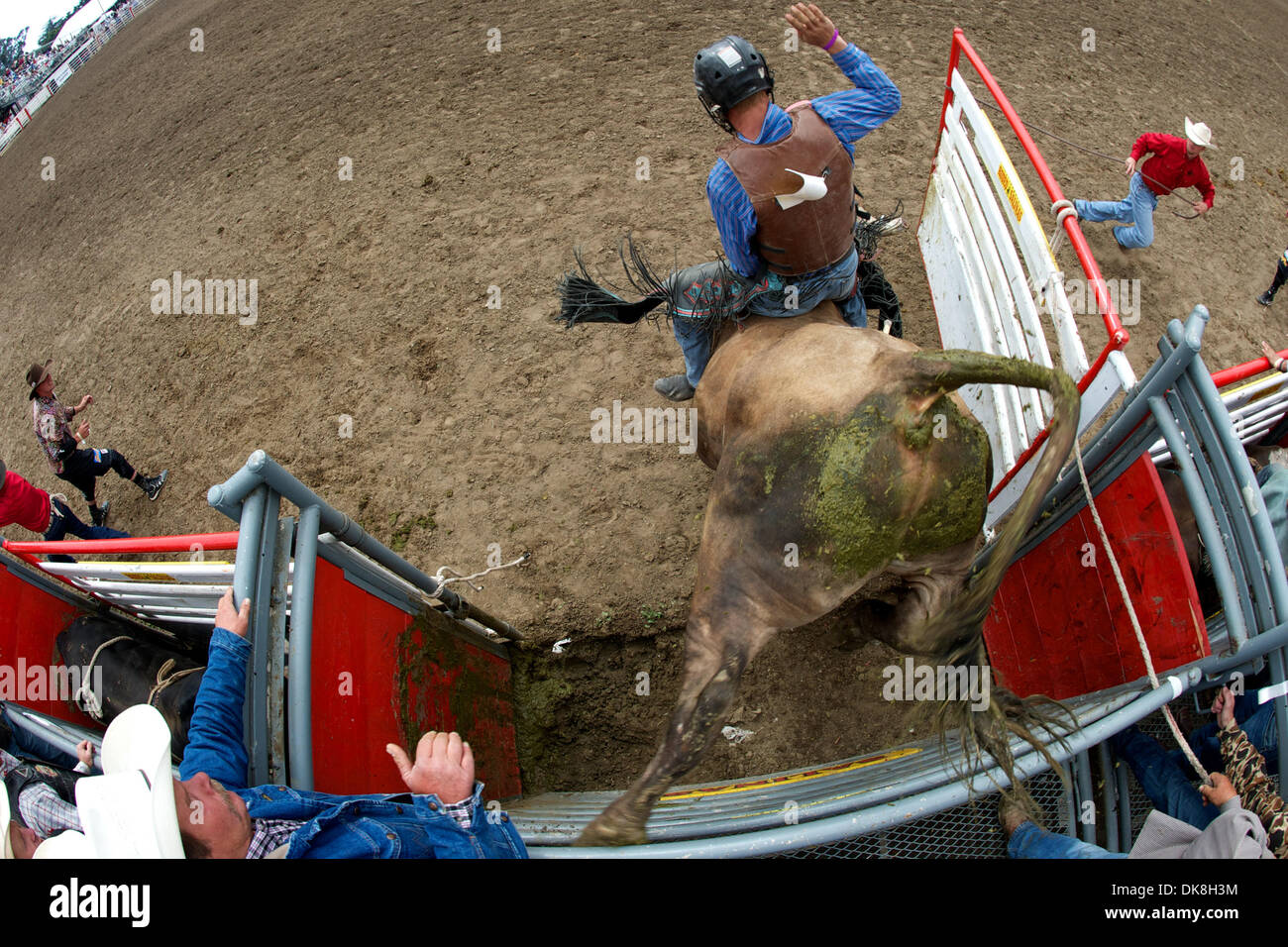 July 23, 2011 - Salinas, California, U.S - Bull rider Jake Huserik of ...