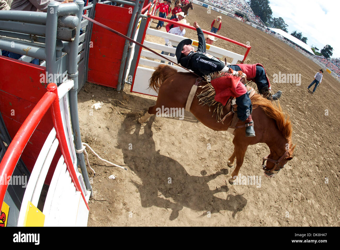 July 23, 2011 - Salinas, California, U.S - Bareback rider Justin ...