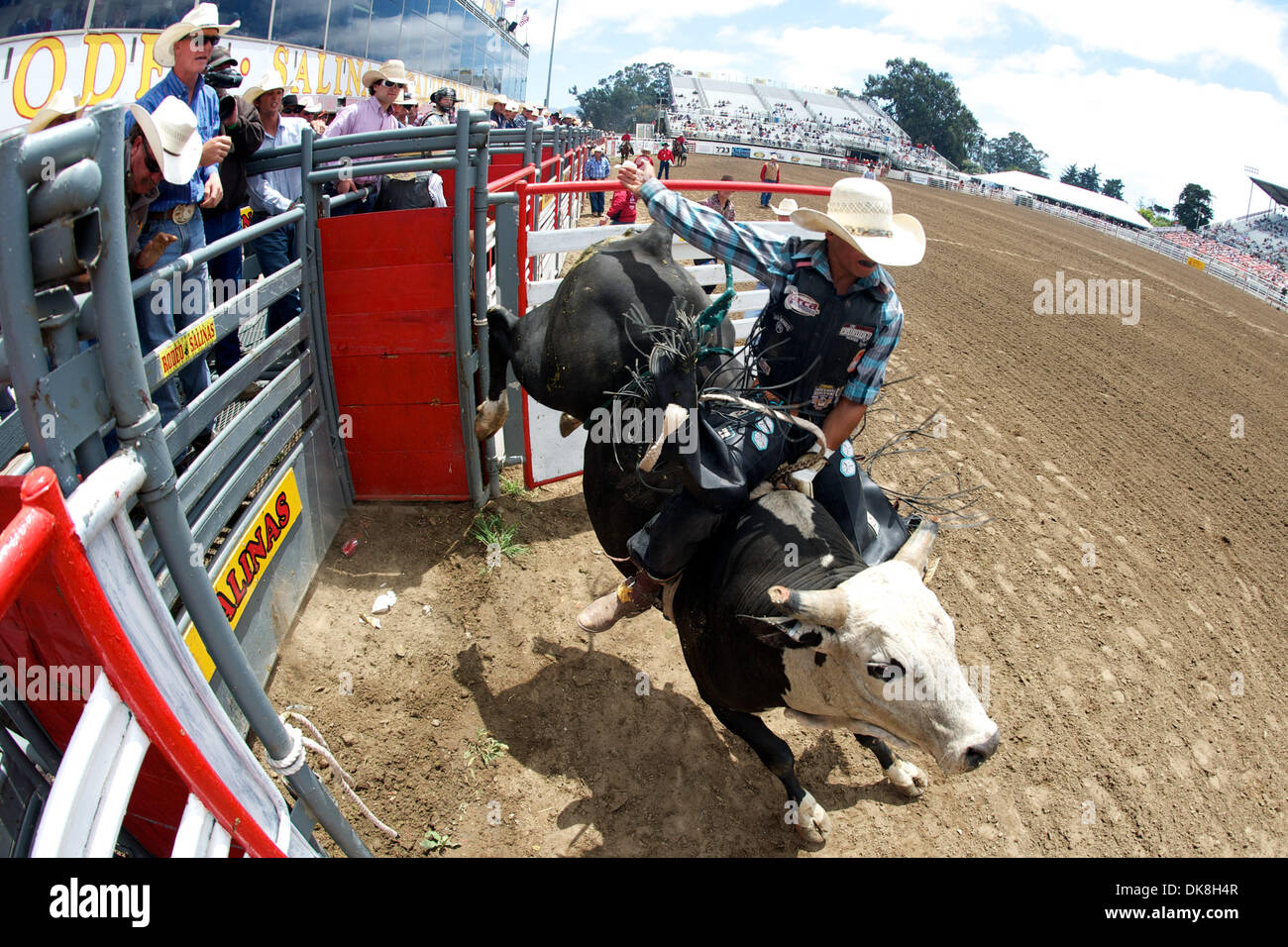July 23, 2011 - Salinas, California, U.S - Bull rider Michael Allison ...