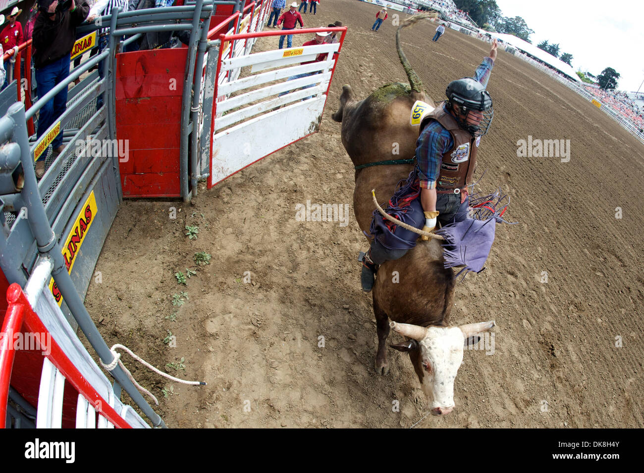 California rodeo salinas hi-res stock photography and images - Alamy