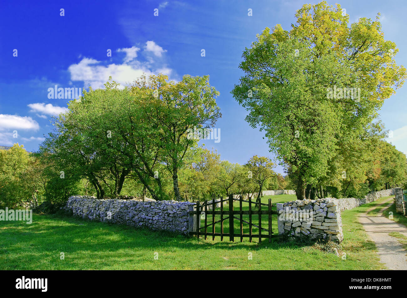 Wooden gate in a stone wall Stock Photo - Alamy