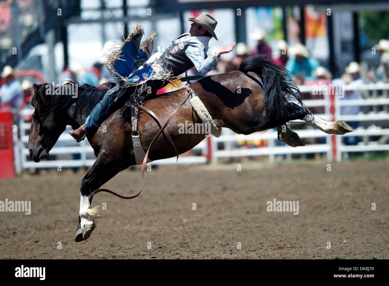 July 24, 2011 - Salinas, California, U.S - Dave Worsfold of Queensland ...