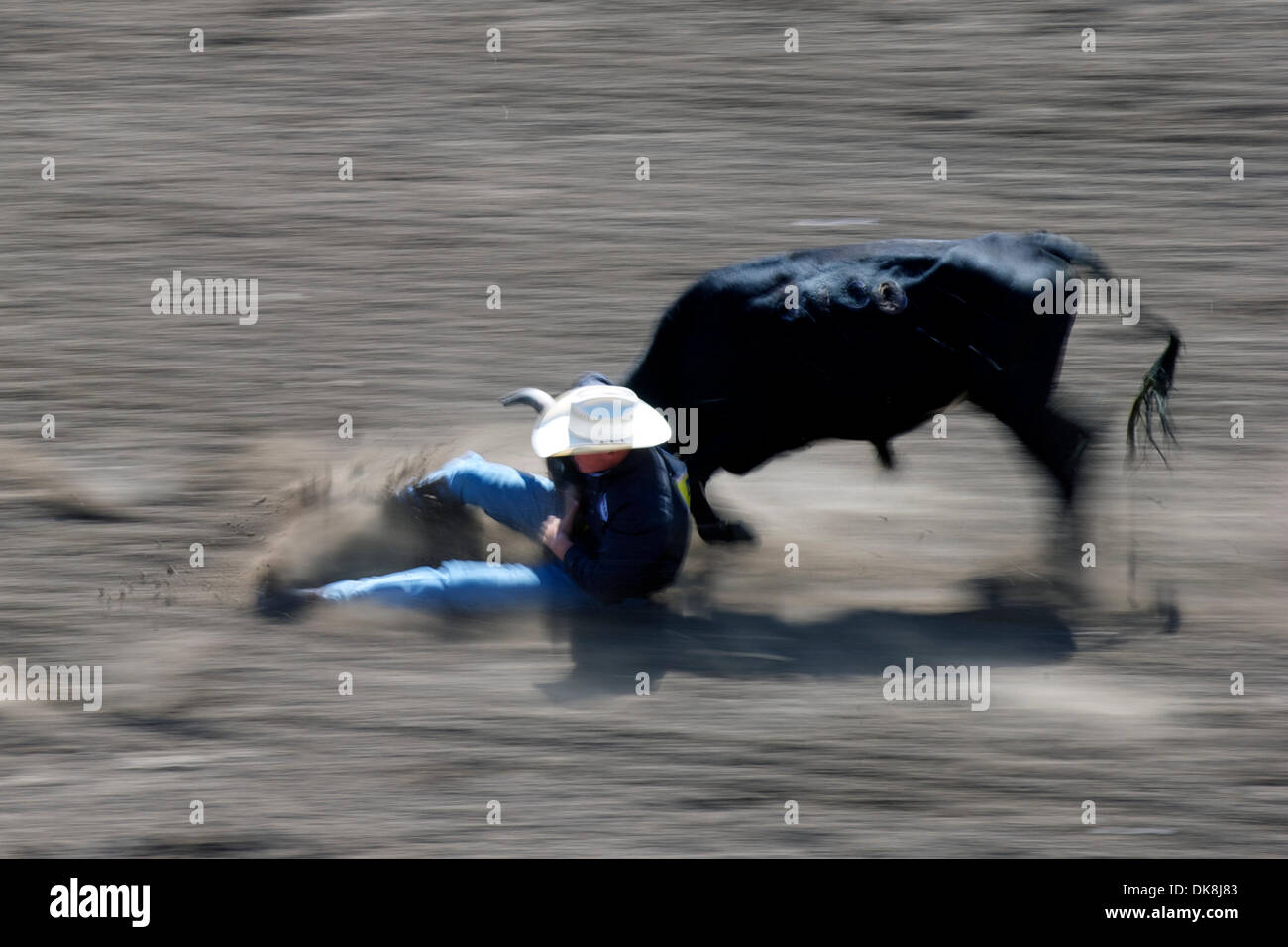 Rodeo rosser hi-res stock photography and images - Alamy